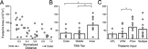 plots of footprint areas versus the locations of trn neurons and