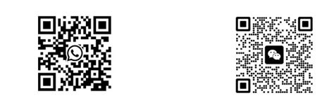 News Understanding Dna Loading Buffer Key Components And Their