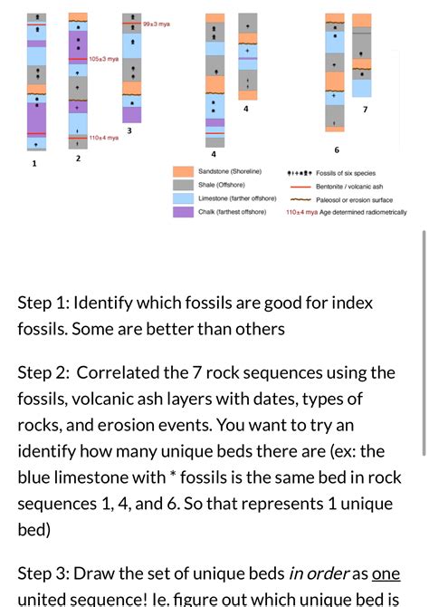 solved step 1 identify which fossils are good for index
