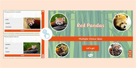 Ks1 Red Pandas Interactive Quiz Ks1 Teacher Made