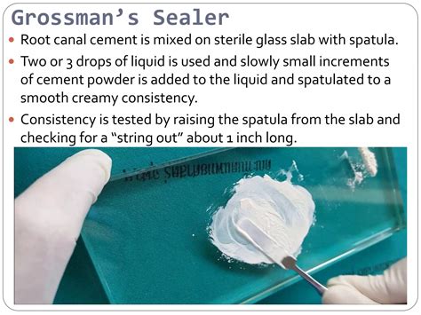 Root Canal Sealers Pptx Dental Health Diseases And Conditions
