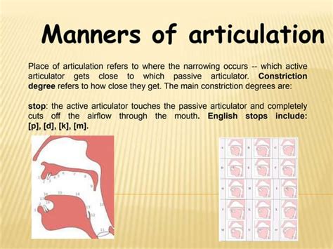 English Manner Articulation Pptx Ear Nose And Throat Conditions Diseases And Conditions