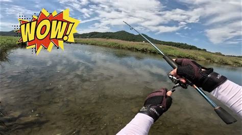 날씨 좋은 가을 날 낚시 이야기 첫 끗발이 멍멍이 끗발 Youtube