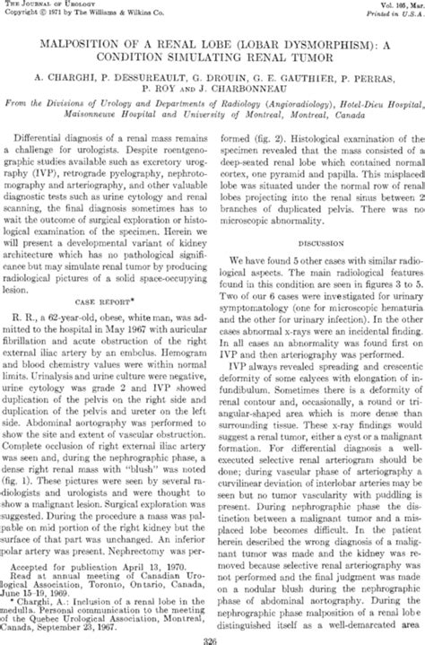 Malposition Of A Renal Lobe Lobar Dysmorphism A Condition Simulating