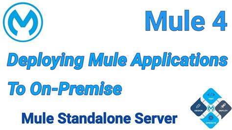 Deploying Mule Applications To On Premise Mule Standalone Server
