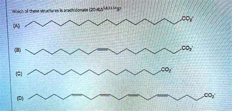SOLVED Hicn Af These Structures Is Arach Acnate 2C 4 4681114 2 COz