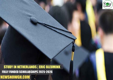 Study In Netherlands Eric Bleumink Fully Funded Scholarships Newsnowgh