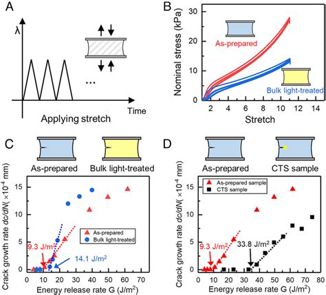 Fatigue Test Of The Hydrogel A Schematic Of The Cyclic Test The Download Scientific Diagram