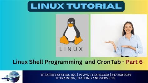 Linux Advance Commands Part 6 Shellscripting Crontab It Expert