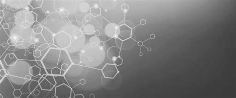 Digestive Enzymes Amylase Protease And Lipase Integrative