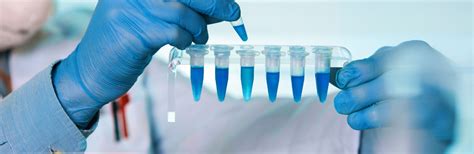 Study Biomedical Engineering Abroad Everything You Need To Know Idp