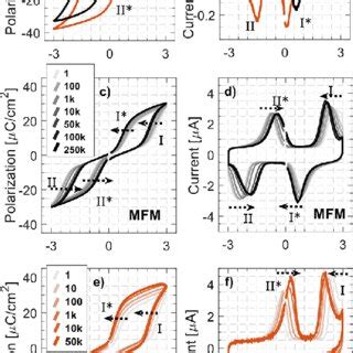 Polarizationvoltage And Currentvoltage Comparisons Of MFM Black And Download Scientific