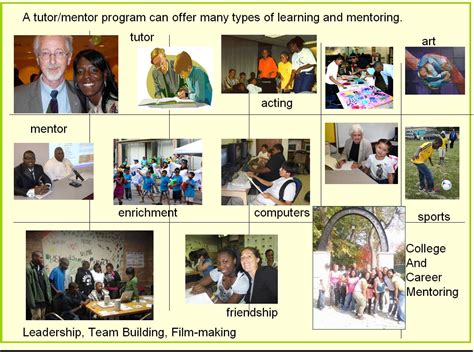 Tutor Mentor Institute Llc