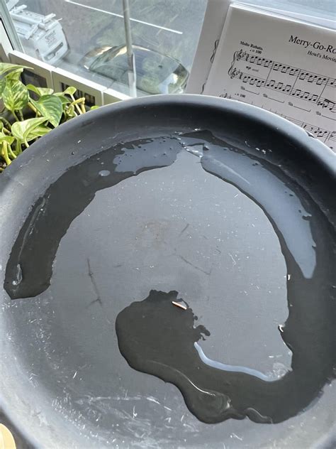 Help What Are These Worm Looking Things R Houseplants