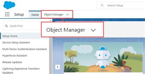 ascii function in salesforce