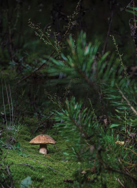 Entry 13 By Ziadhamed7 For Rescaling A Photo But Including All Detail Not Cropping Too Much