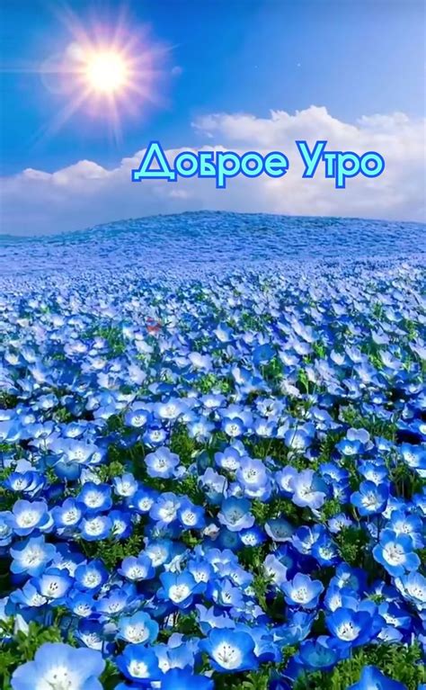 Доброе утро
