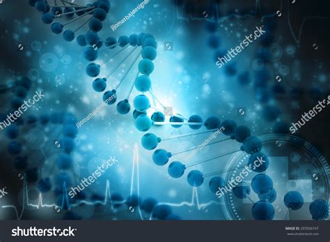 Digital Illustration Dna Structure Stock Illustration Shutterstock