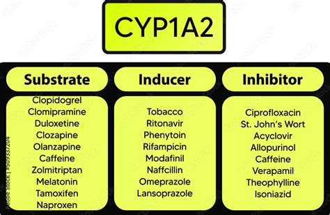 Enzyme Inhibitors Examples Drugs At Jade Haylen Blog