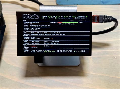 openvpn dns leak pihole
