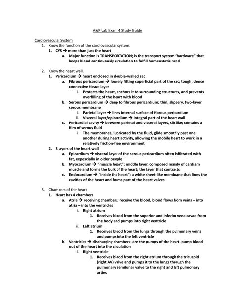 Lab Exam Study Guide Lecture Notes Exam A P Lab Exam Study Guide Cardiovascular Studocu