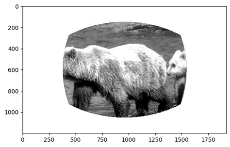 visual behavior ophys experiment data — swdb 2024 data book