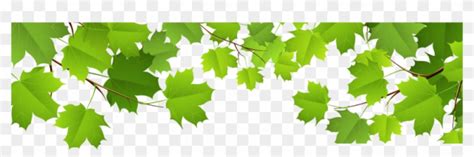 Free Maple Leaf Clipart Spring Leaves Spring Leaves Png Nohatcc