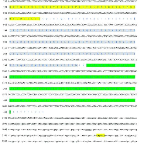 The Complete Cdna Sequence And Deduced Amino Acid Sequence Of Ajca