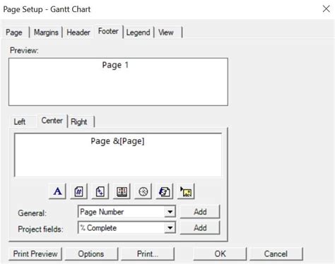 Page Setup Project Plan 365