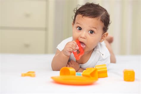 Spider Control Pest Inspect Australia Solve Your Problem Today