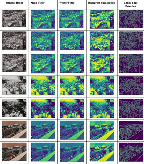 sample input and output of the pre‐processing and segmentation process