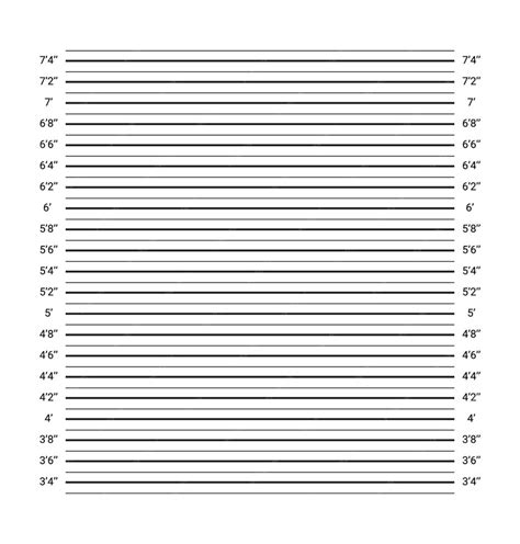 머그 샷 경찰 보드 형사 머그샷 배경인치 단위의 라인 포함 원한 사진을 위한 벽 측정 템플릿 프리미엄 벡터