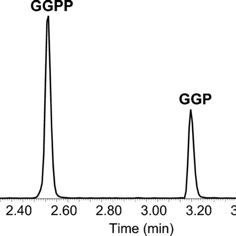 Representative Chromatograms For Standard Solutions Of Ggpp And Ggp