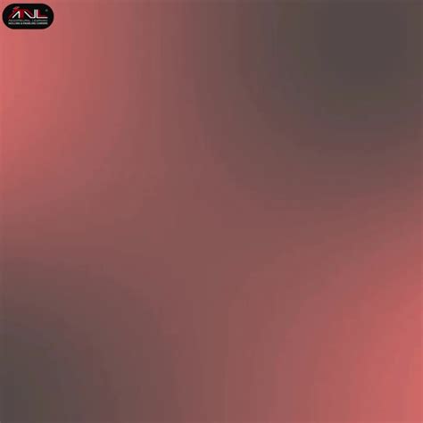 Launch Your Career With Aegisneural Learning Aegisneural Learning