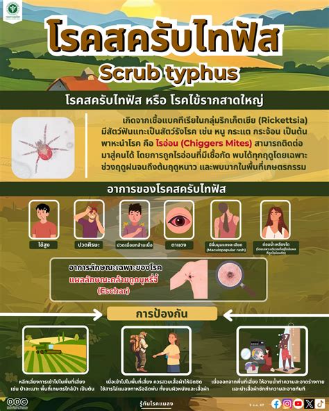 โรคติดต่อนำโดยแมลง คลังสื่อ สำนักงานป้องกันควบคุมโรคที่ 5 จังหวัด