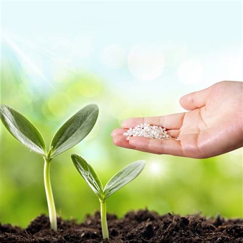 China Biodegradable Pla Pellets Manufacturers Suppliers Cheap