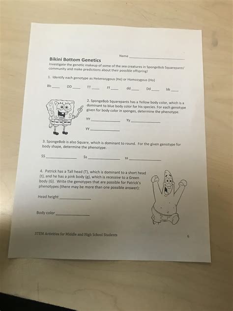 Bikini Bottom Genetics Worksheet Spongebob Genetics Answer Key