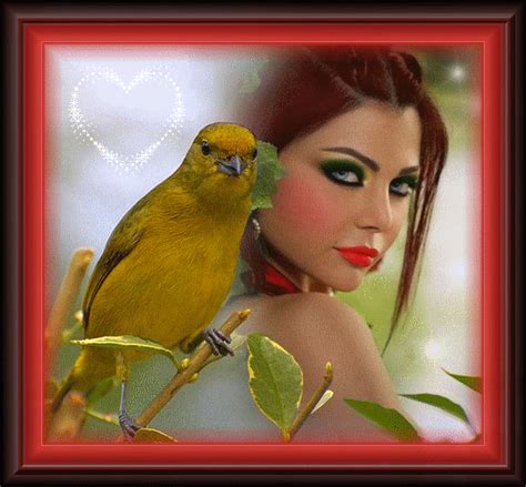 Belles Images Oiseau Page 5