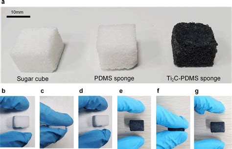A Physical Diagrams Of Sugar Cube Pdms Sponge And Ti2c Pdms Sponge Download Scientific