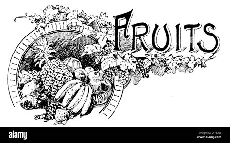 This 1899 Cookbook Offers Practical Advice On Preparing Fruits And Other Ingredients Providing