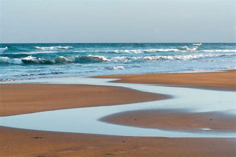 Manuel Lemos Portfolio Natural Fotografía De Naturaleza De Autor