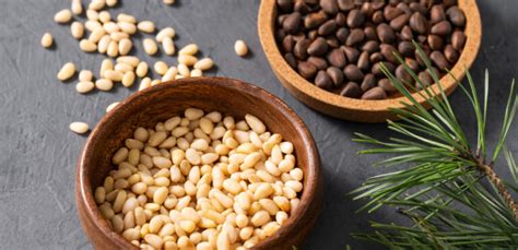 ما هو الصنوبر؟ إكتشفوا فوائده الصحية وطرق استخدامه أطيب طبخة