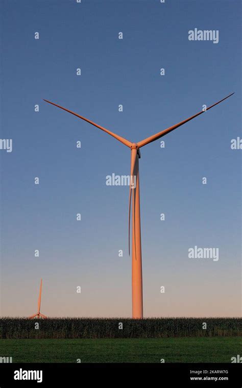 Windmills For Wind Energy Stand Above Corn Fields In Evening Light In Upstate New York Usa