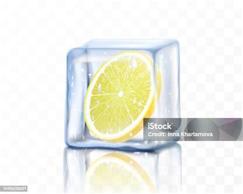 얼음 조각에 담긴 신선한 레몬 조각은 투명한 배경에 분리되어 있다 얼어 붙은 레몬 조각 사실적인 3d 벡터 일러스트레이션 3차원 형태에 대한 스톡 벡터 아트 및 기타 이미지