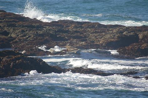 Fort Bragg Ocean Weather At Jerome Henderson Blog