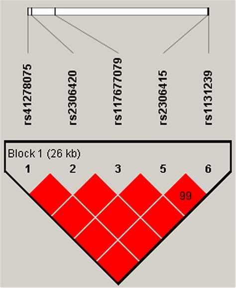 haplotype block map for six snps inanxa5 gene the numbers inside the