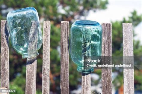 화창한 여름 날에 풍화 된 목재 피켓 울타리에 거꾸로 건조 왼쪽 3 리터 유리 항아리를 씻어 갈색에 대한 스톡 사진 및 기타 이미지 Istock