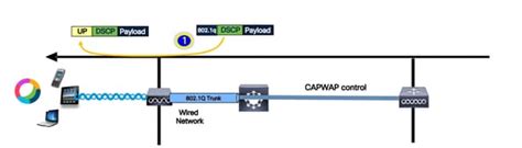 Amp 이해 무선 9800 Wlc를 통한 Qos 문제 해결빠른 참조 Cisco