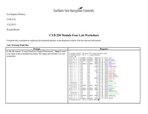 CYB 210 Module 4 3 Isis Hughes Mohney CYB Michael Michlowski 1 23 CYB 210 Configuration