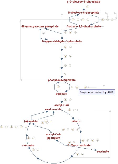 Figure 1 From Kbgen Text Generation For Knowledge Bases As A New
